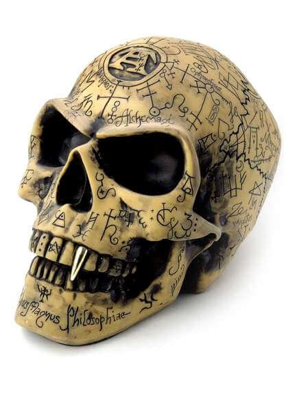 Skull Omega - Life sized resin skull with Alchemist carvings